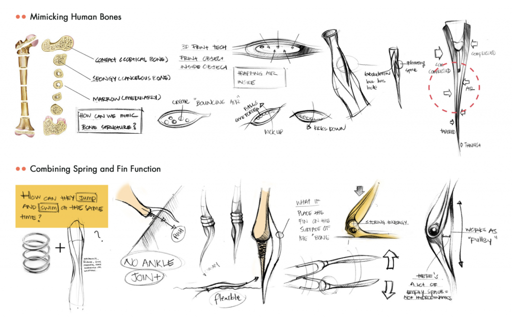 Project Elle Revisited: Prosthetic Swimming Leg - One with the Water